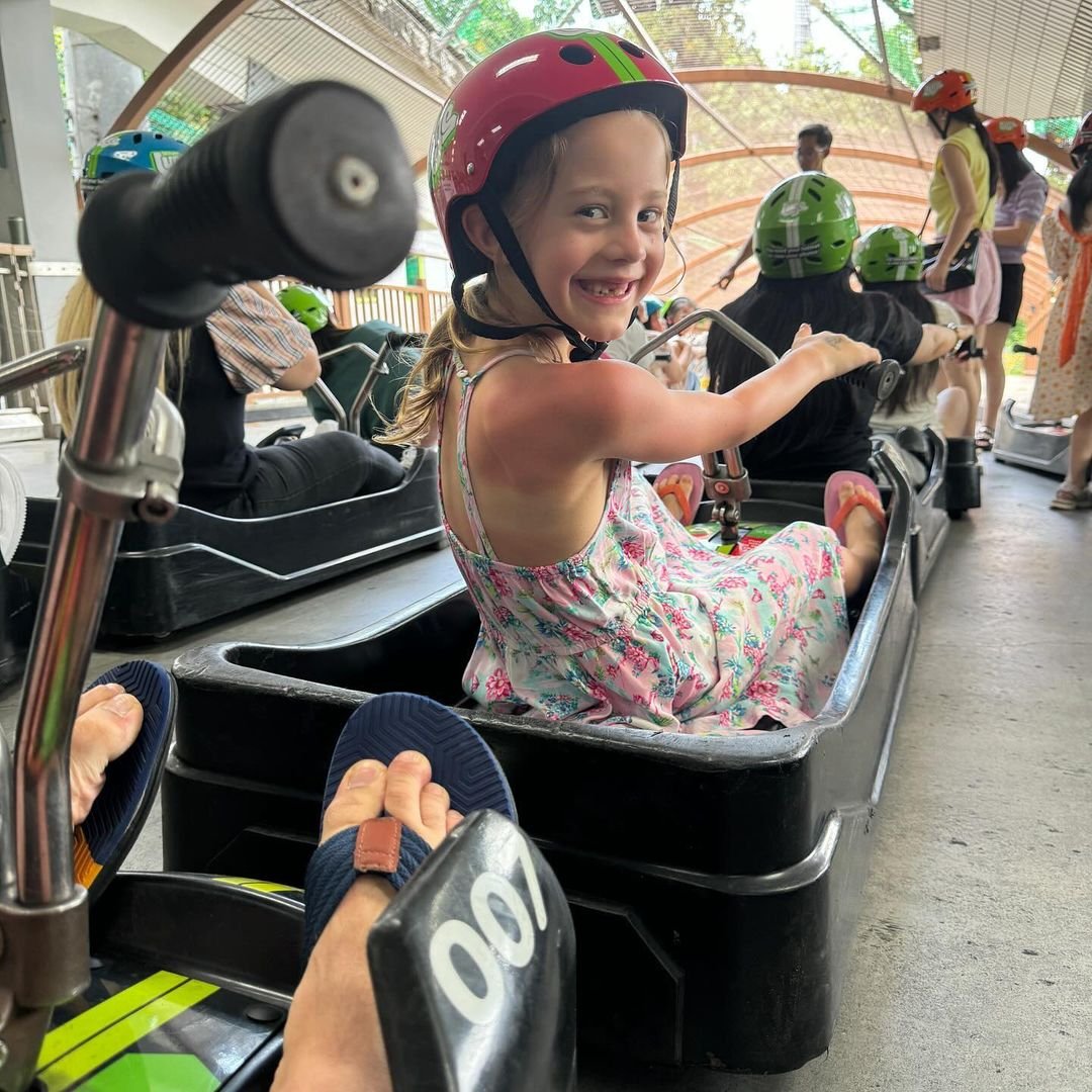 Night Luge | Skyline Luge Singapore | The #1 Night Activity